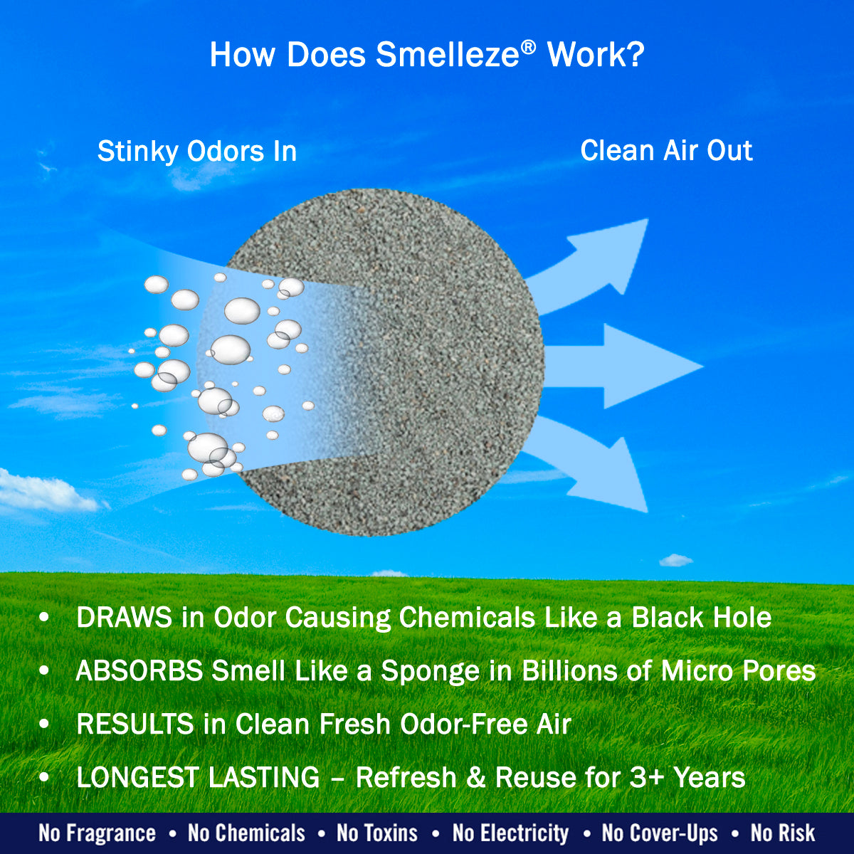 Natural Odor Eliminators that Really Work. Rid Smell & Breathe Clean ...