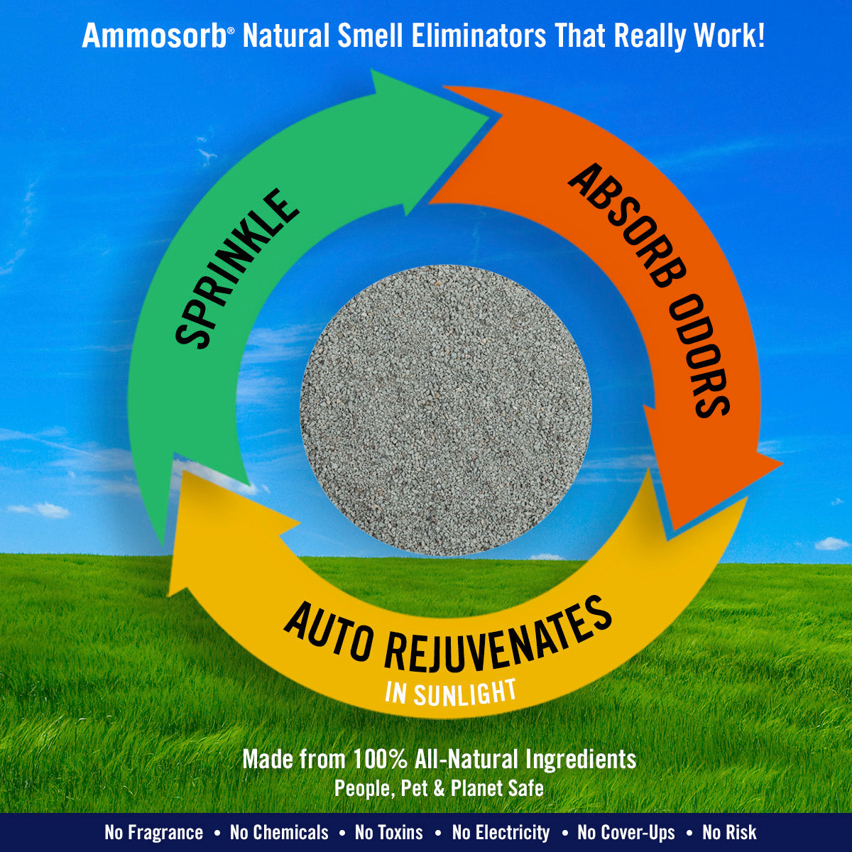 AmmoSorb® Natural Ammonia Odor & Spill Absorbent Granules | NoOdor.com ...